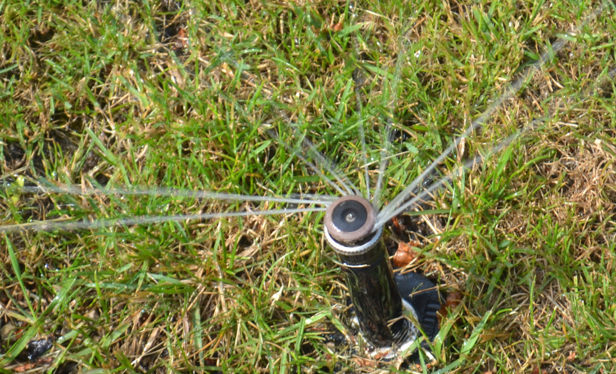 Top purchase recommendation sprinkler: Hunter MP Rotator - Irrigation ...