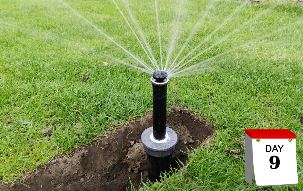 How to realize automatic garden irrigation in just 10 days - Irrigation ...